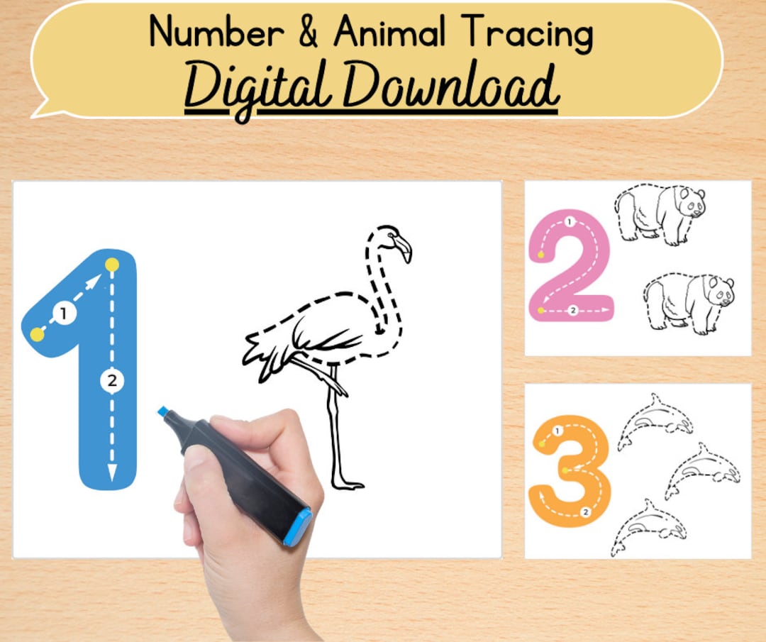 Number and Animal Tracing Digital Download - Etsy