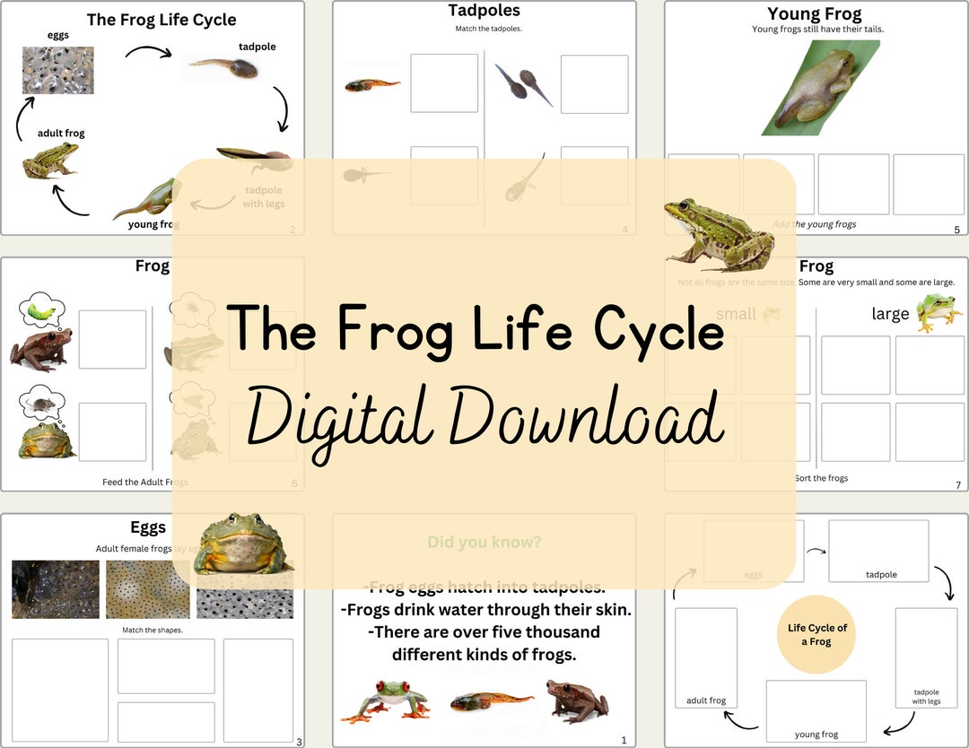 The Frog Life Cycle Digital Download Activity Learning Book for ELA ...