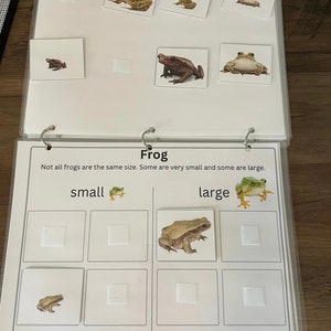 The Frog Life Cycle Digital Download Activity Learning Book for ELA ...