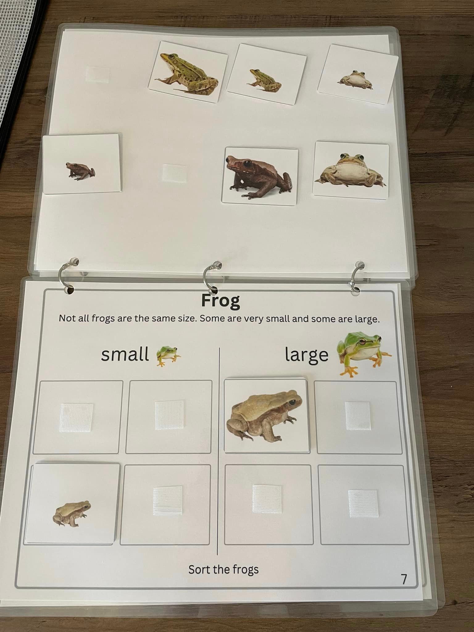The Frog Life Cycle Digital Download Activity Learning Book for ELA ...