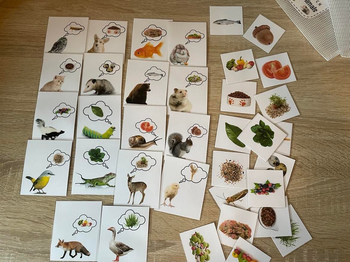 Feed the Animals, Picture Matching, Printable, Digital Download ...