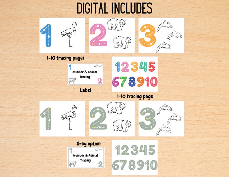 Number and Animal Tracing Digital Download - Etsy