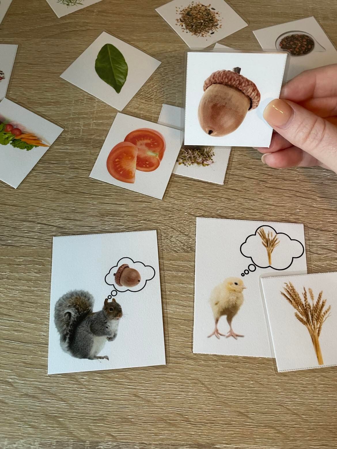 Feed the Animals, Picture Matching, Printable, Digital Download ...
