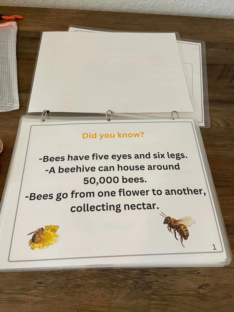 The Bee Life Cycle Digital Download Activity Learning Book for ELA ...