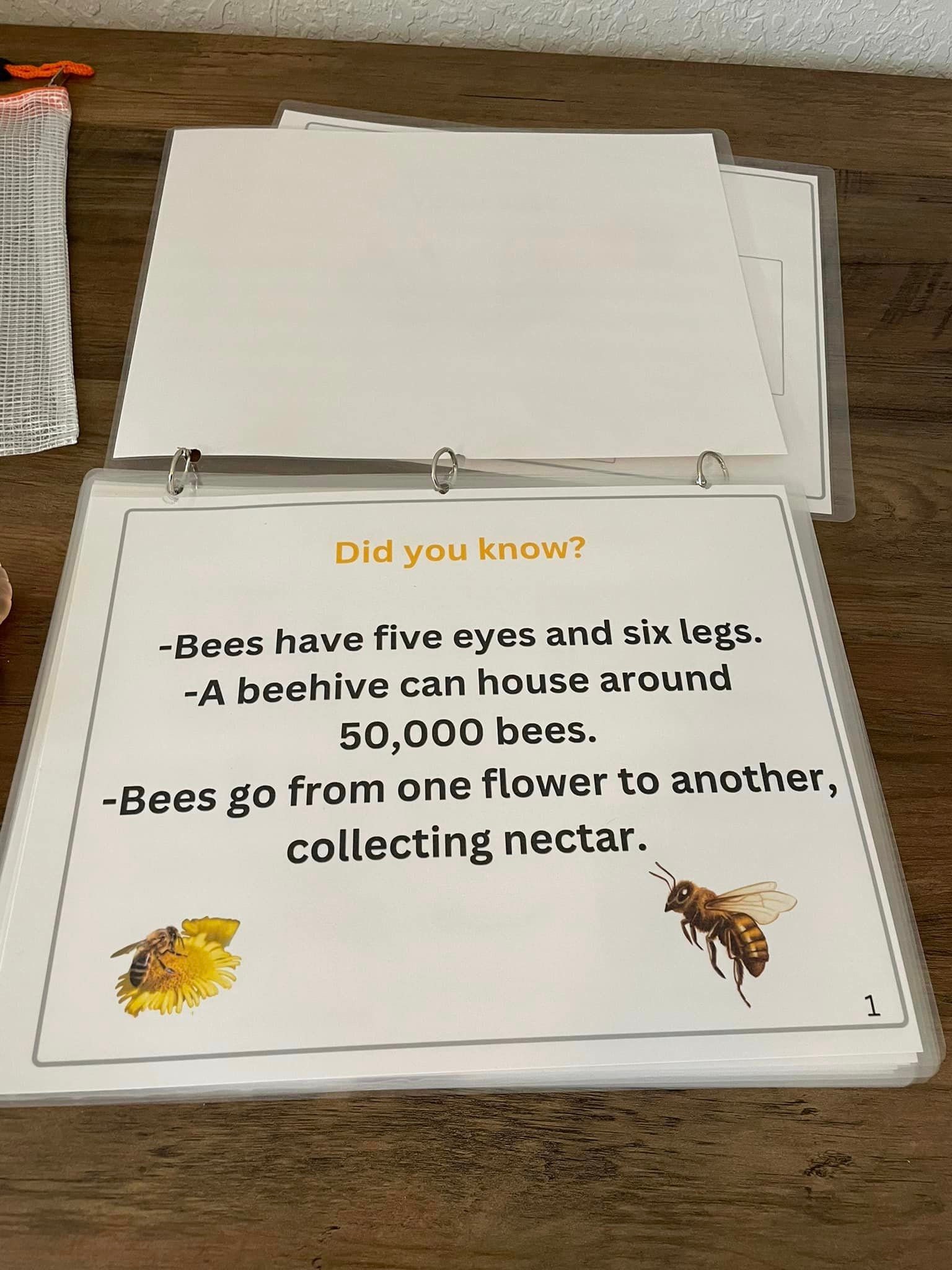 The Bee Life Cycle Digital Download Activity Learning Book for ELA ...