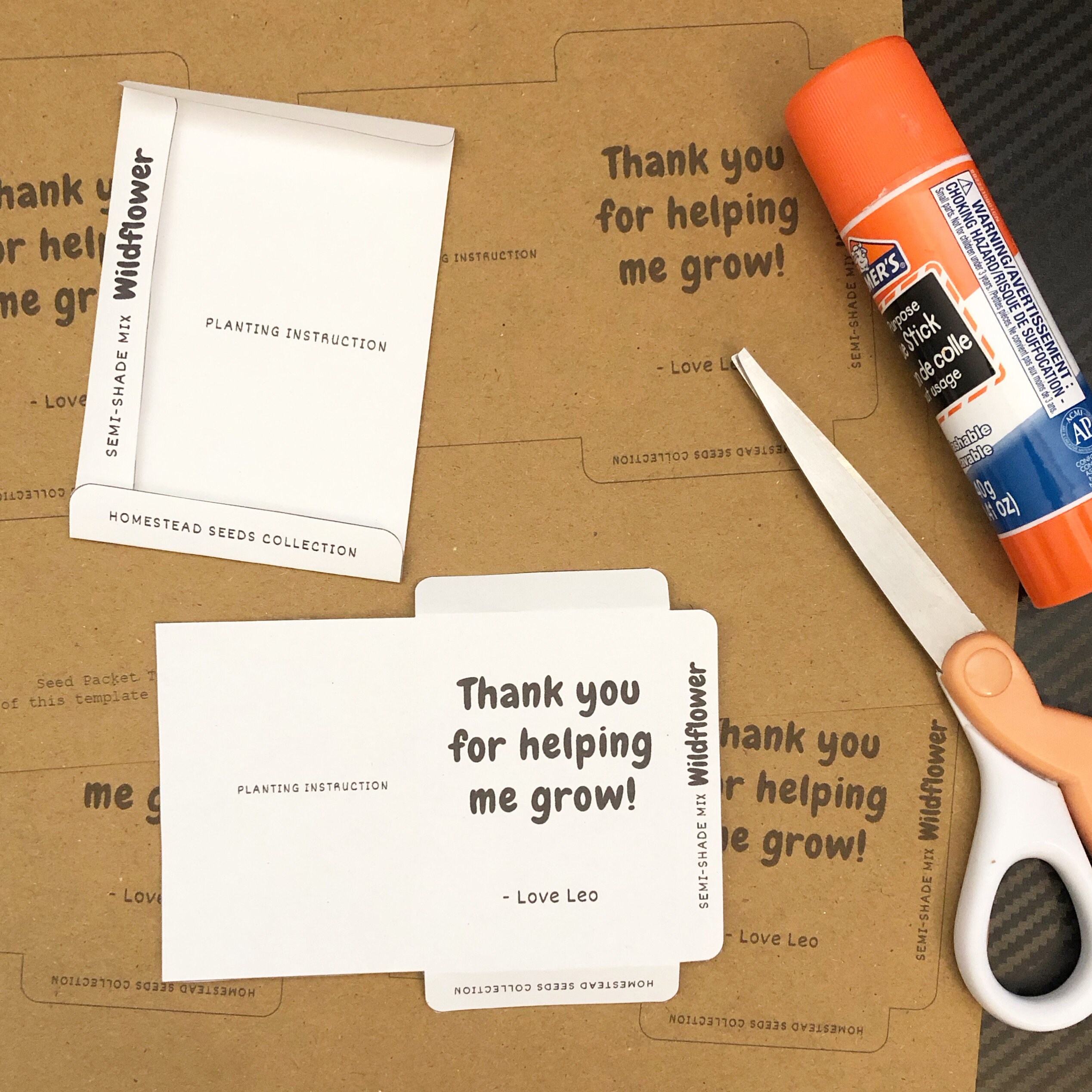 Printable Teacher Appreciation Seed Packet Template Envelope - Etsy