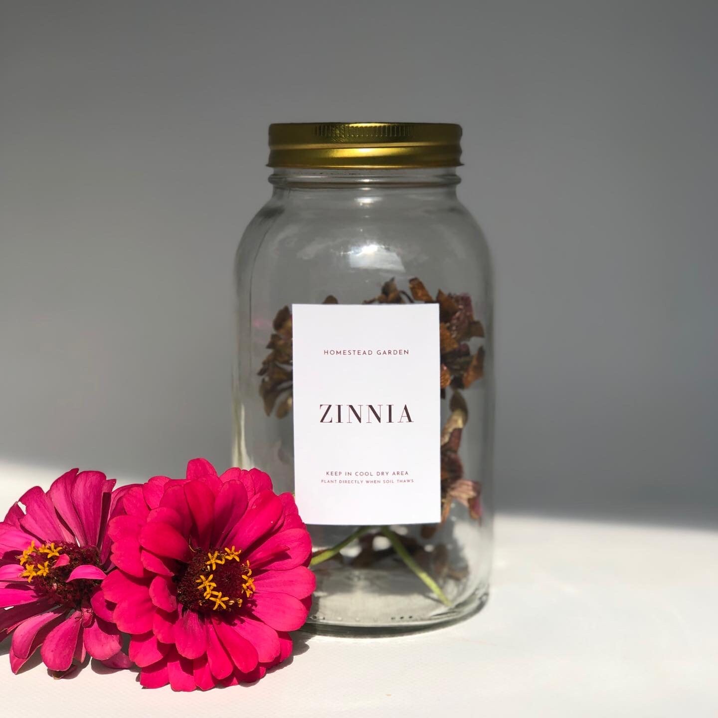 Printable Seeds and Bulbs Saving Labels Template Editable on - Etsy