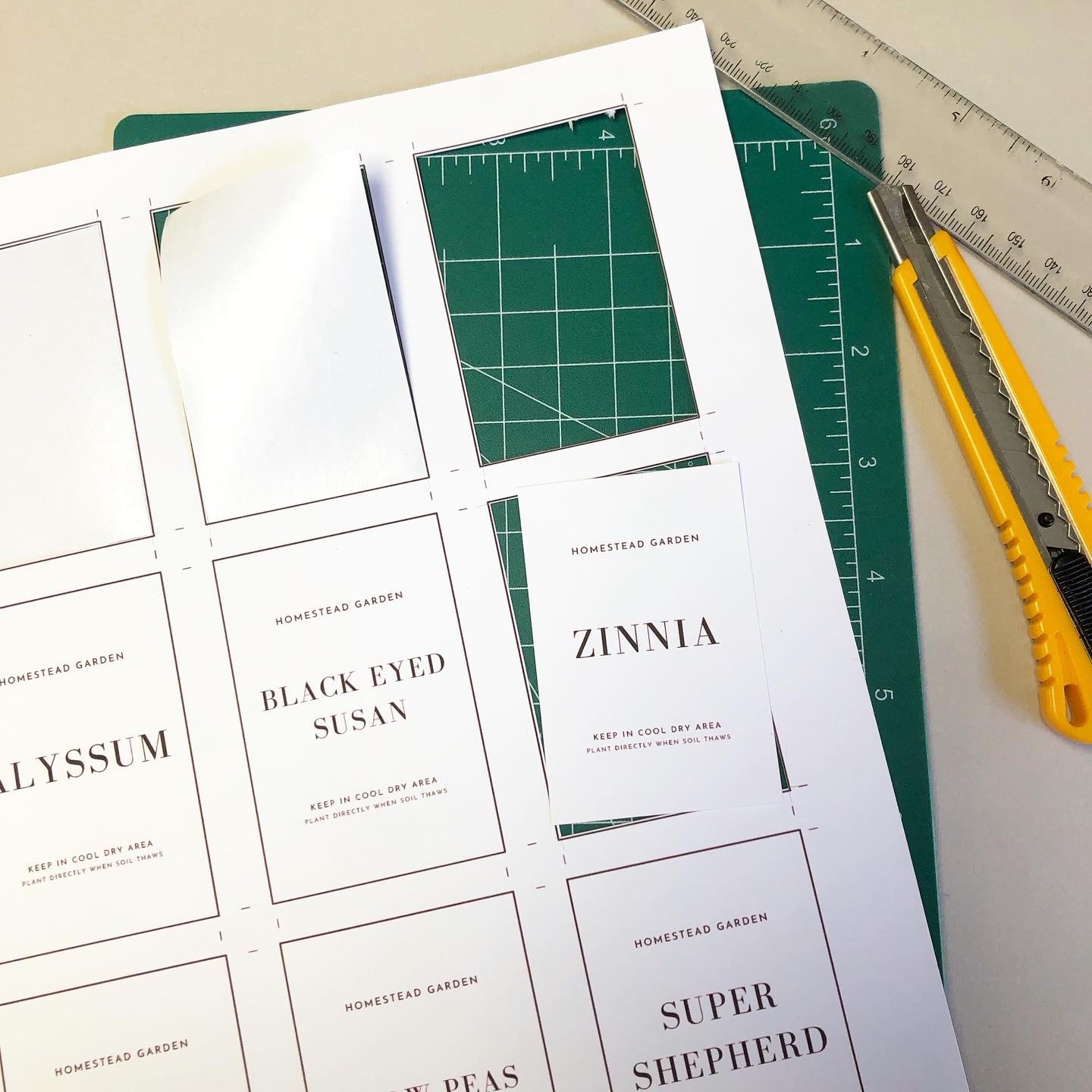 Printable Seeds and Bulbs Saving Labels Template Editable on - Etsy