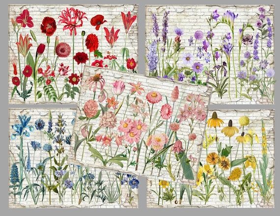 Digital Wildflower Journal Pages Botanical Printable Junk | Etsy