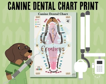 Veterinary Canine Dental Chart Poster - Simplify Your Dental Charting ...