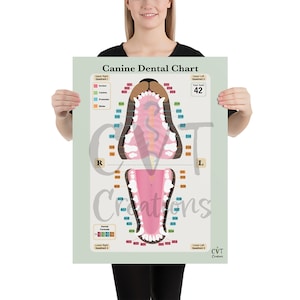 Canine Dental Chart Print - Etsy