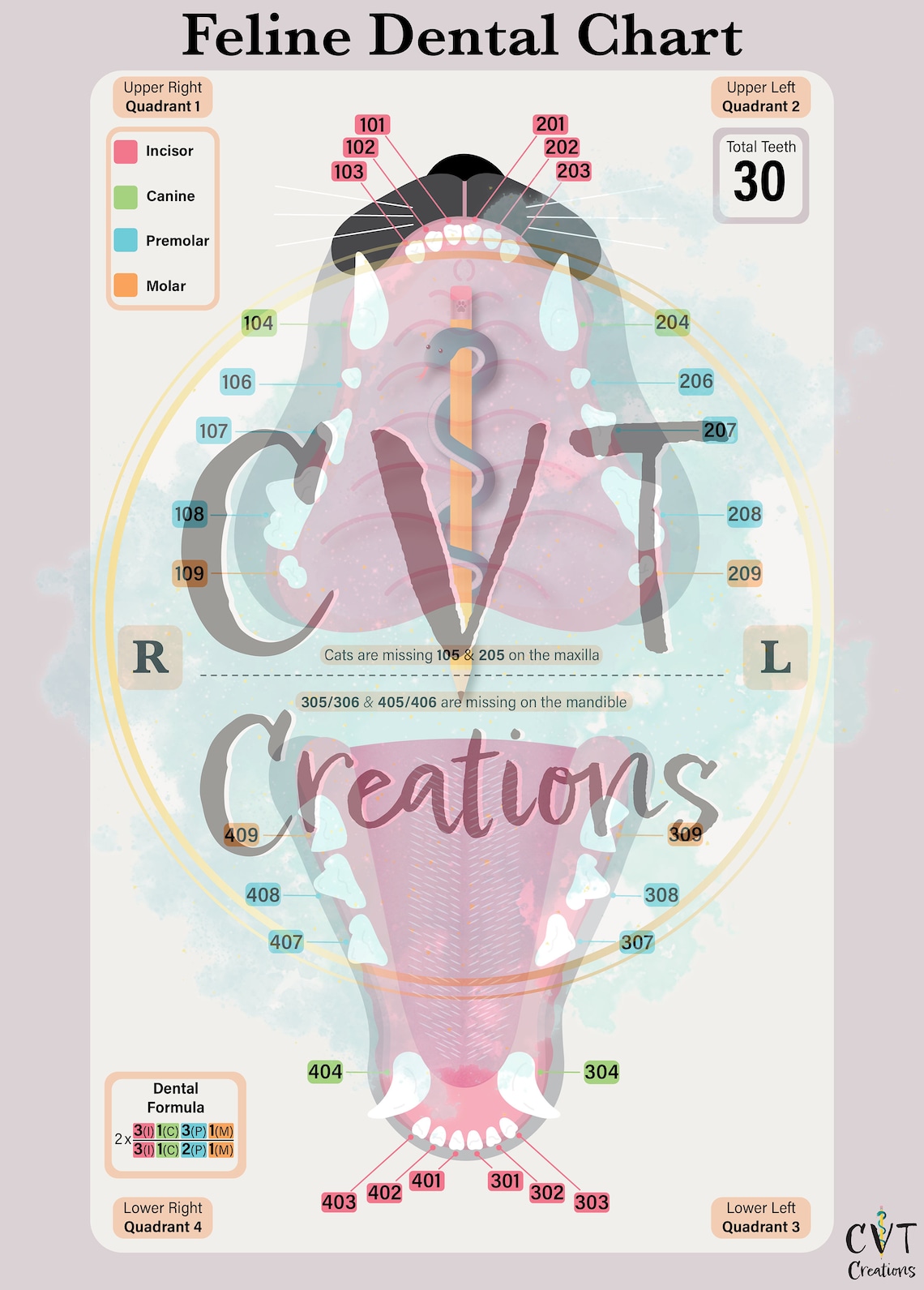 Canine & Feline Dental Chart Bundle (digital Download) - Etsy