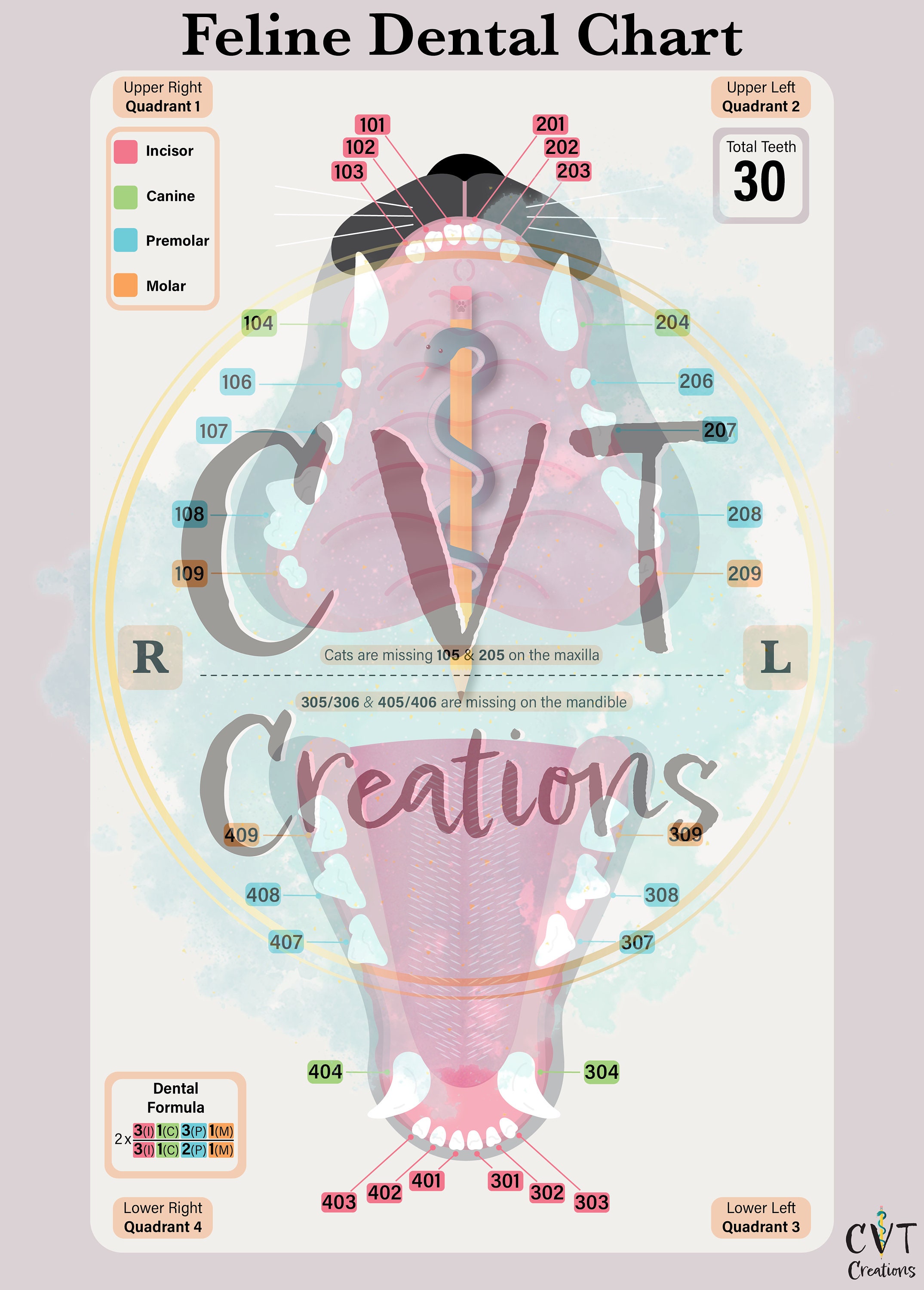 Canine & Feline Dental Chart Bundle (digital Download) - Etsy