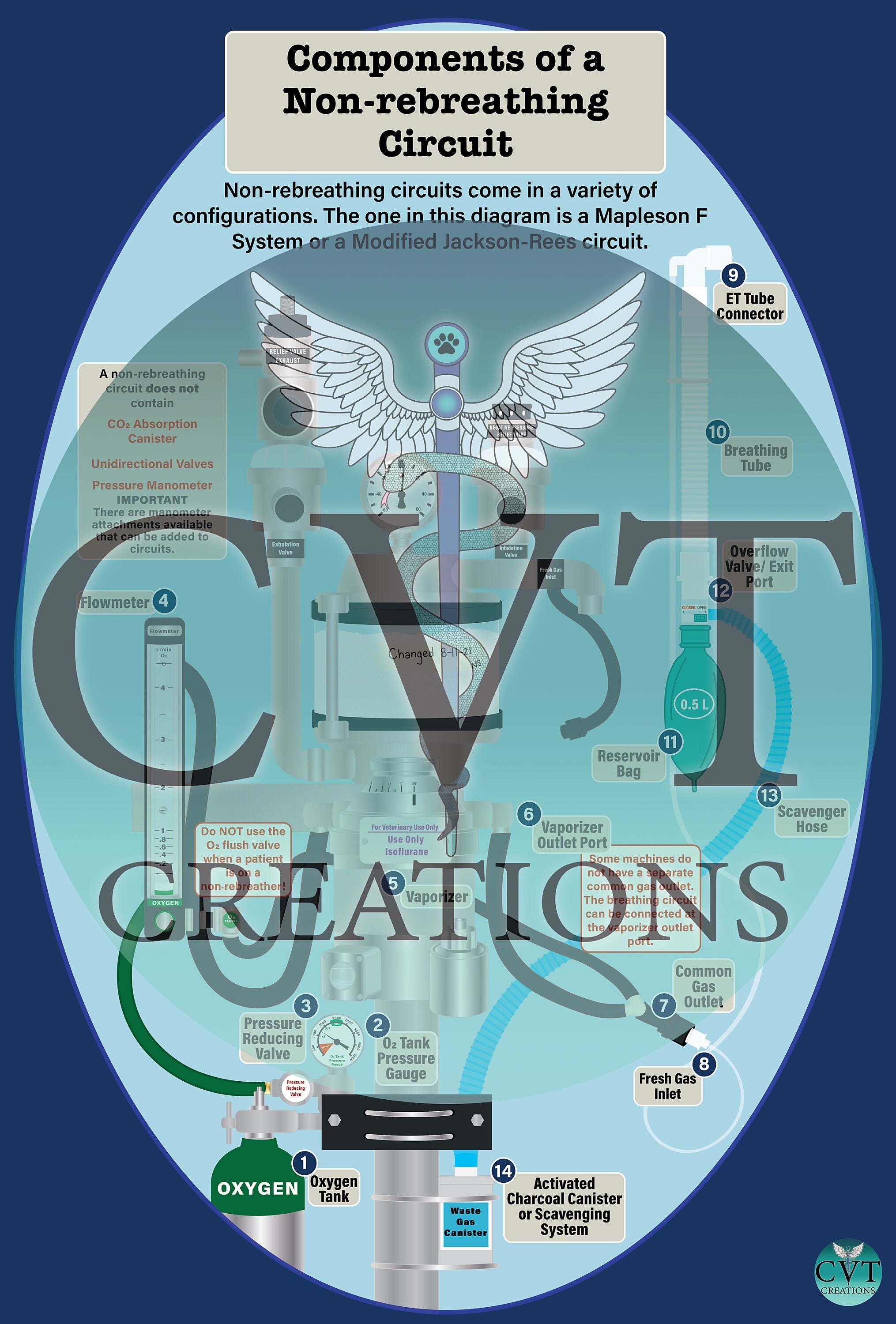 Non-rebreathing Anesthetic Circuit Diagram Digital | Etsy