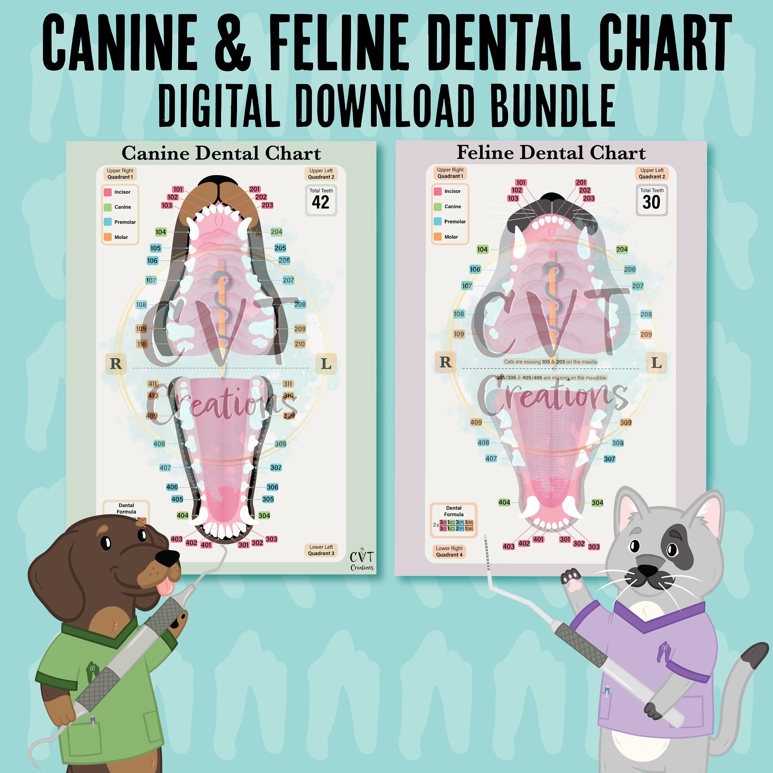 Paquete de gráficos dentales caninos y felinos descarga digital - Etsy ...