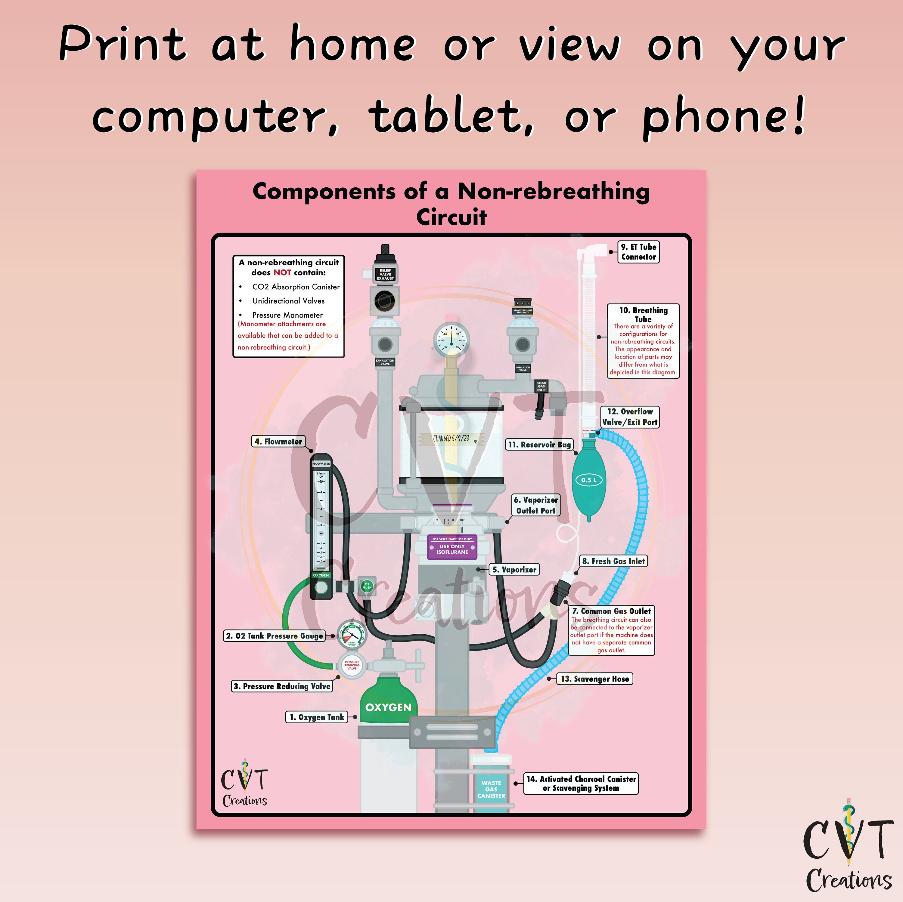 Non-rebreathing Anesthetic Circuit Diagram (digital Download) - Etsy