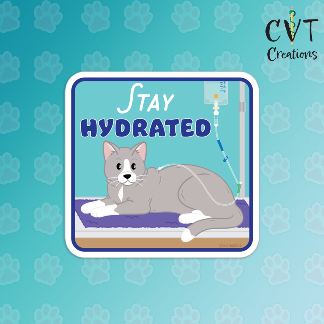 Stay Hydrated SQ Fluids Sticker - Etsy