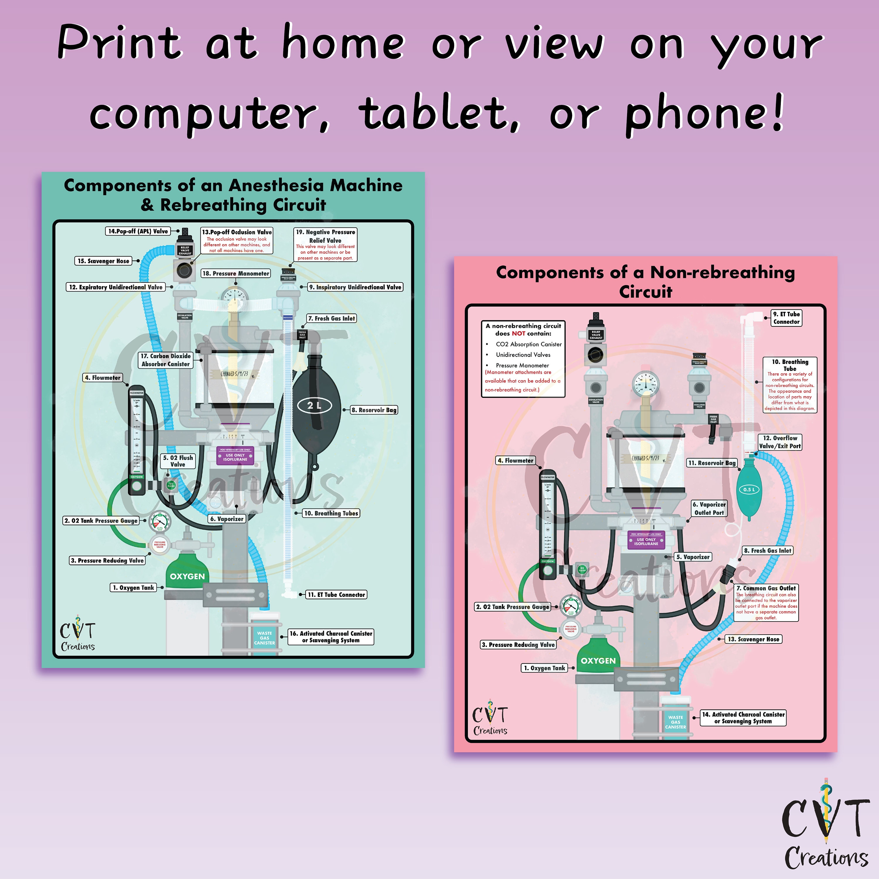 Rebreathing & Non-rebreathing Circuit Diagram Bundle (digital Download ...