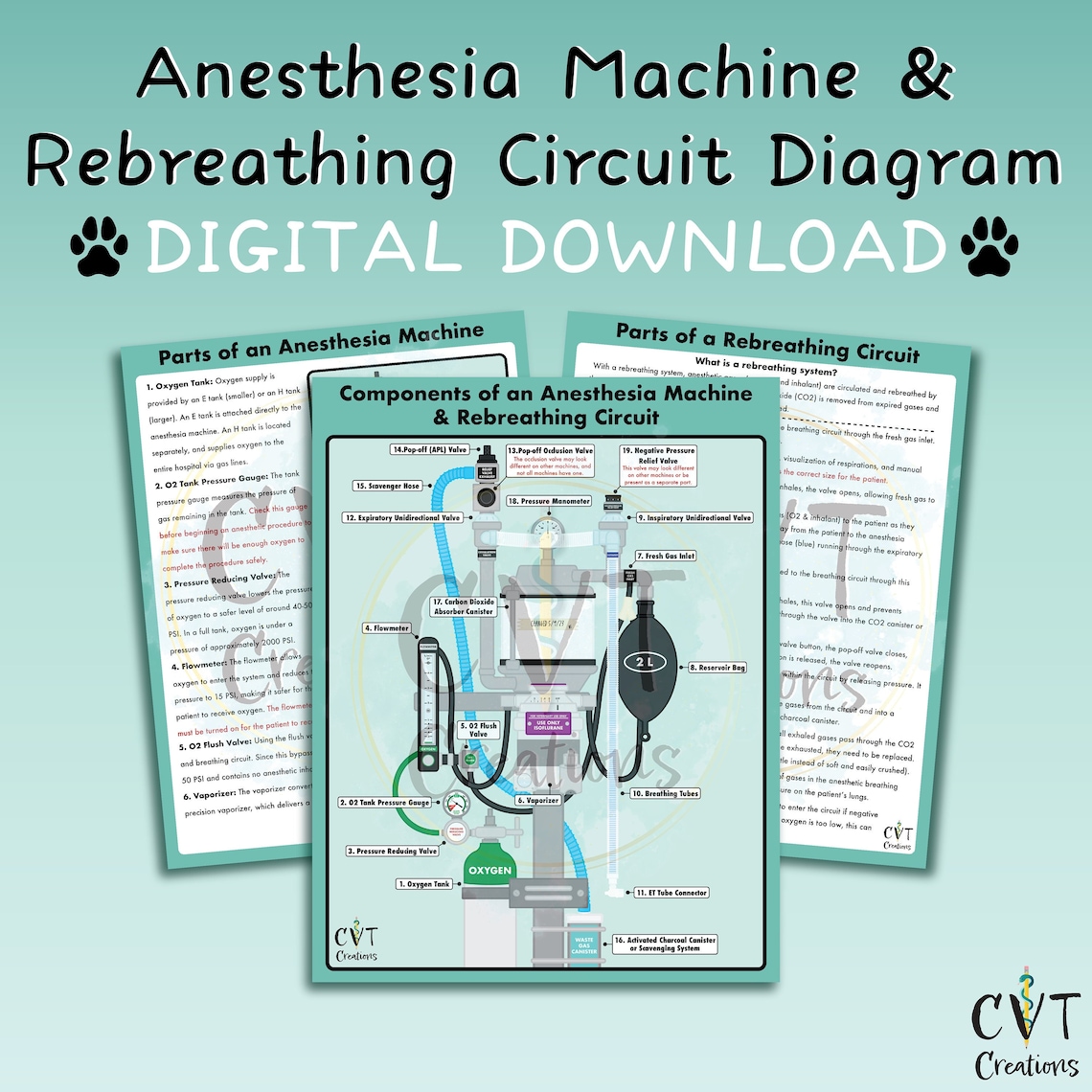 Anesthesia Machine & Rebreathing Circuit Diagram (digital Download) - Etsy