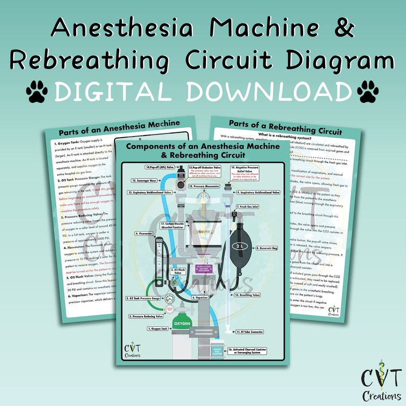 Anesthesia Machine & Rebreathing Circuit Diagram (digital Download) - Etsy