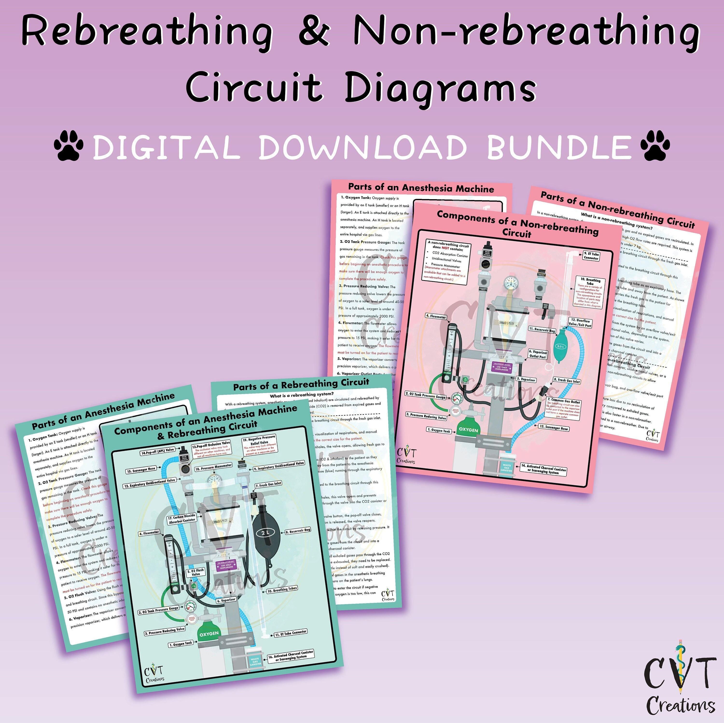 Rebreathing & Non-rebreathing Circuit Diagram Bundle (digital Download ...