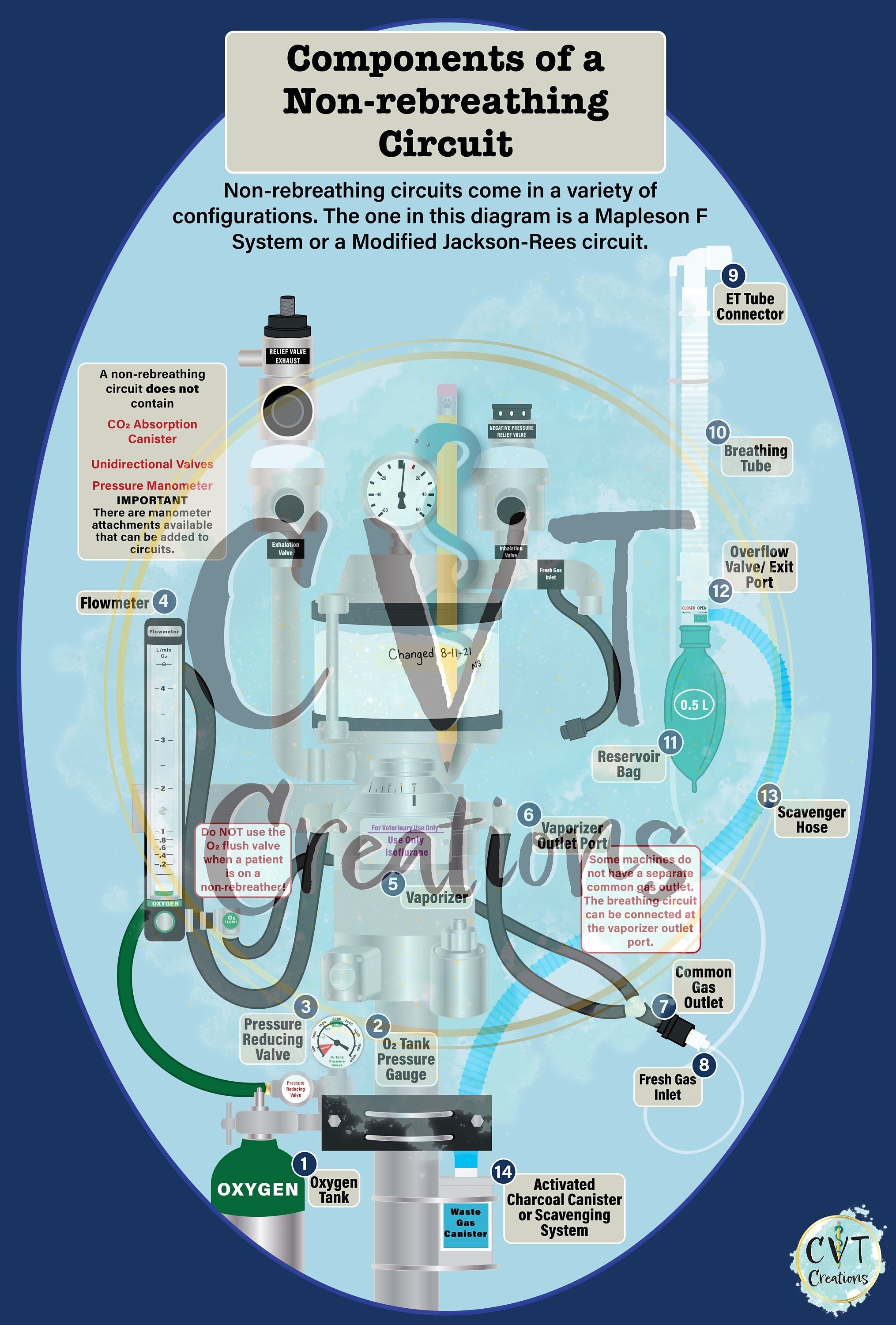 Non-rebreathing Anesthetic Circuit Diagram digital - Etsy Canada