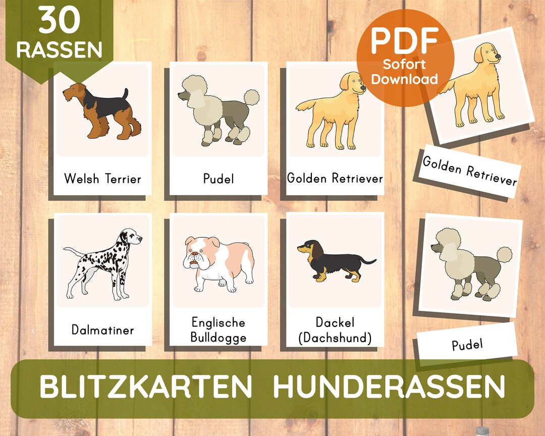Dogs Dog Breeds Montessori Card Set Picture Cards Flashcards to Print ...
