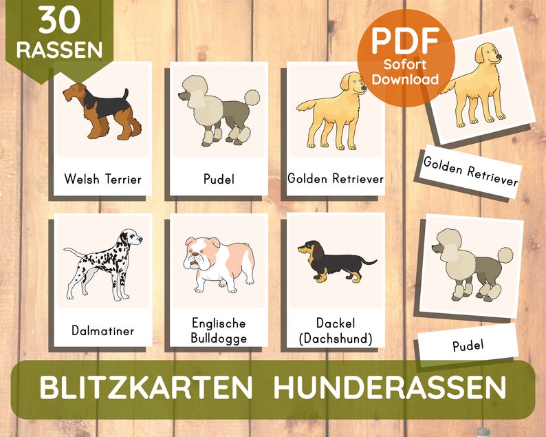 Dogs, Dog Breeds, Montessori Card Set, Picture Cards, Learning Cards ...