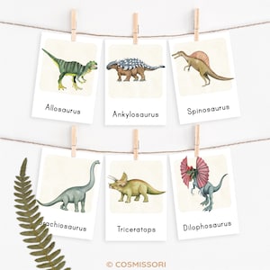 50 Dinosaurs A-Z Montessori Picture Cards Learning Cards Flash Cards ...