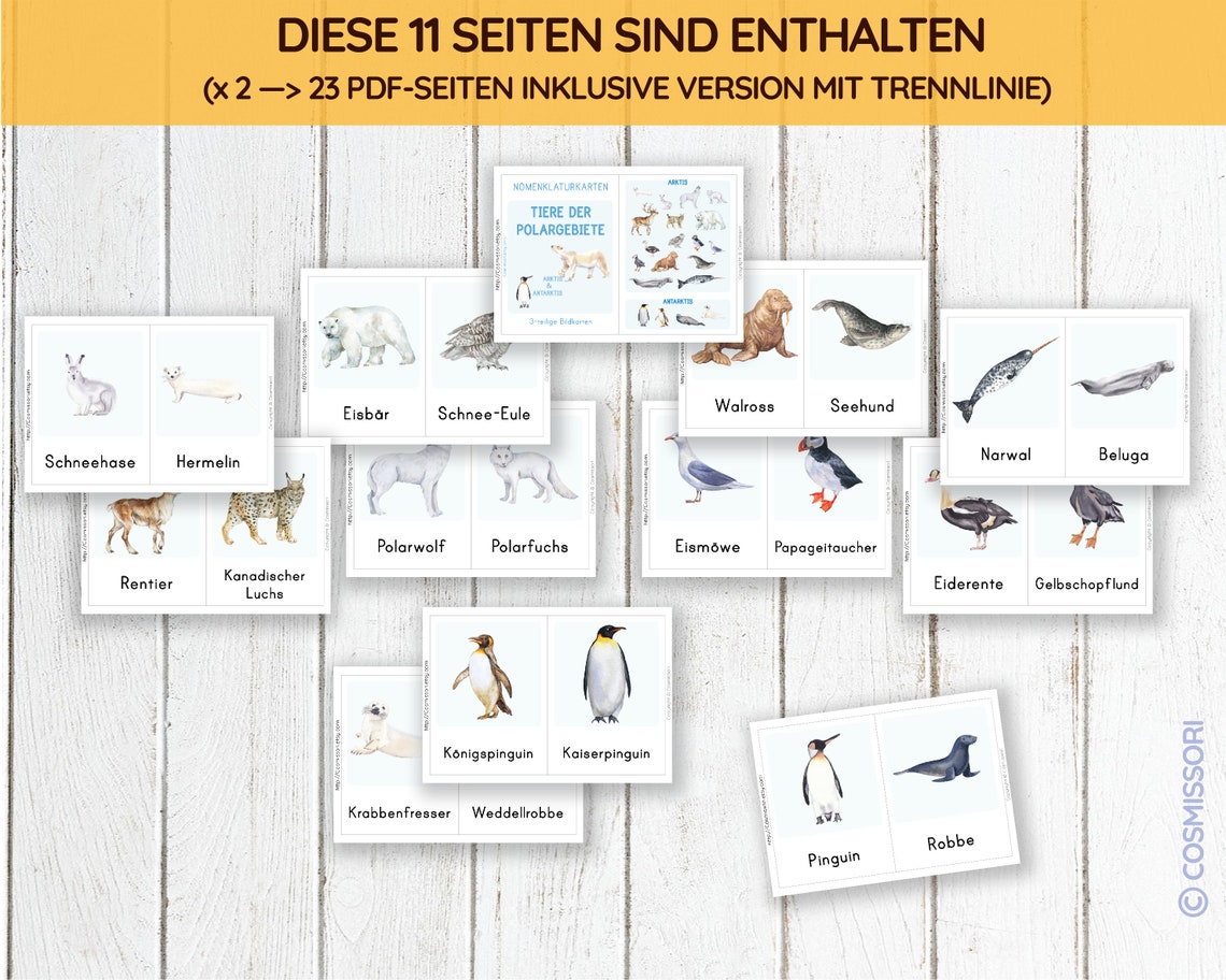 Animals of the Polar Regions ARCTIC ANTARCTIC Montessori Flash Cards ...
