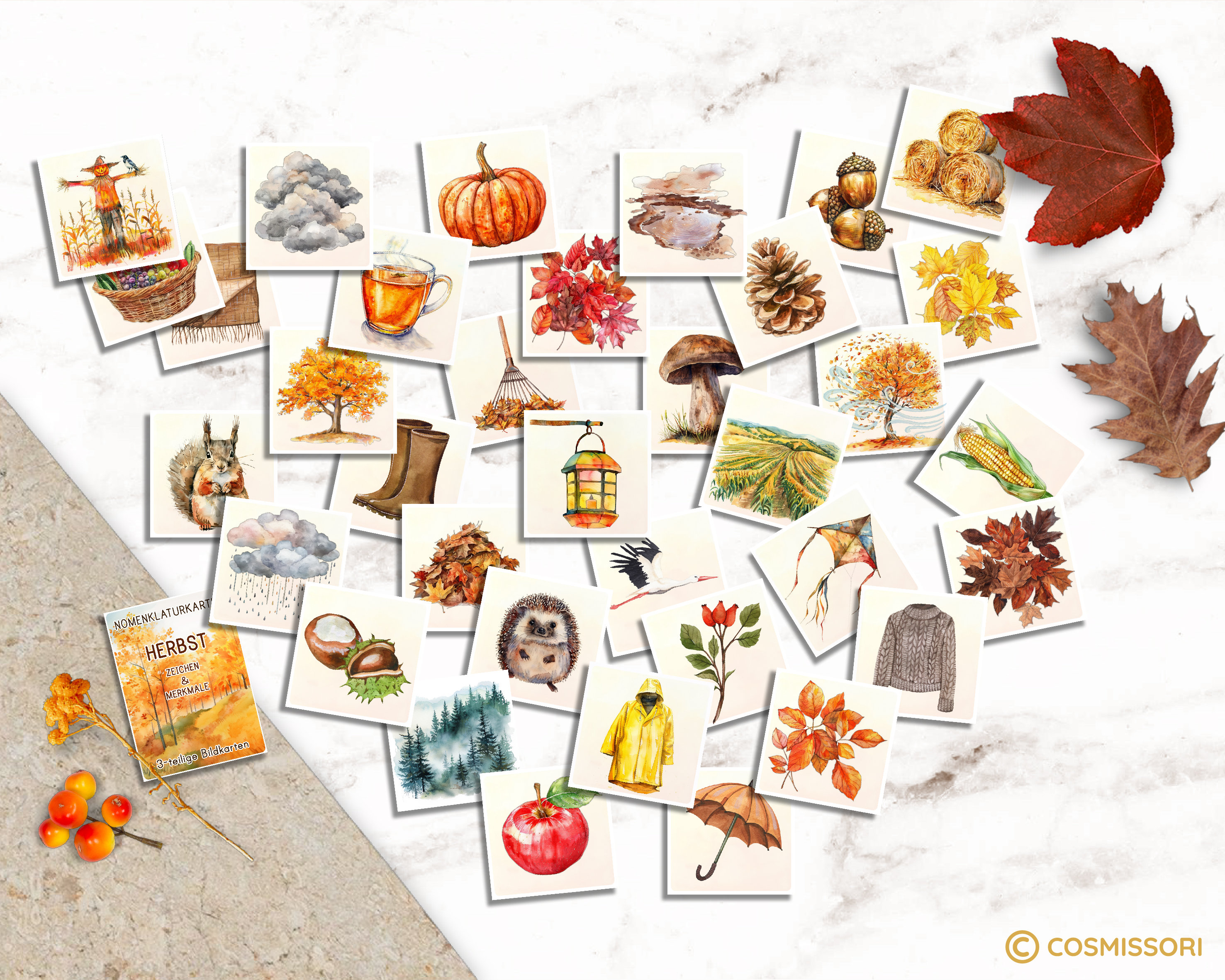 AUTUMN Montessori Picture Cards Autumnal Watercolor Learning Cards PDF ...