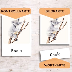 Animals of Australia & Oceania Montessori Picture Cards, Learning Cards ...