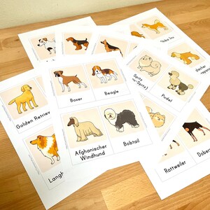 Dogs Dog Breeds Montessori Card Set Picture Cards Flashcards to Print ...