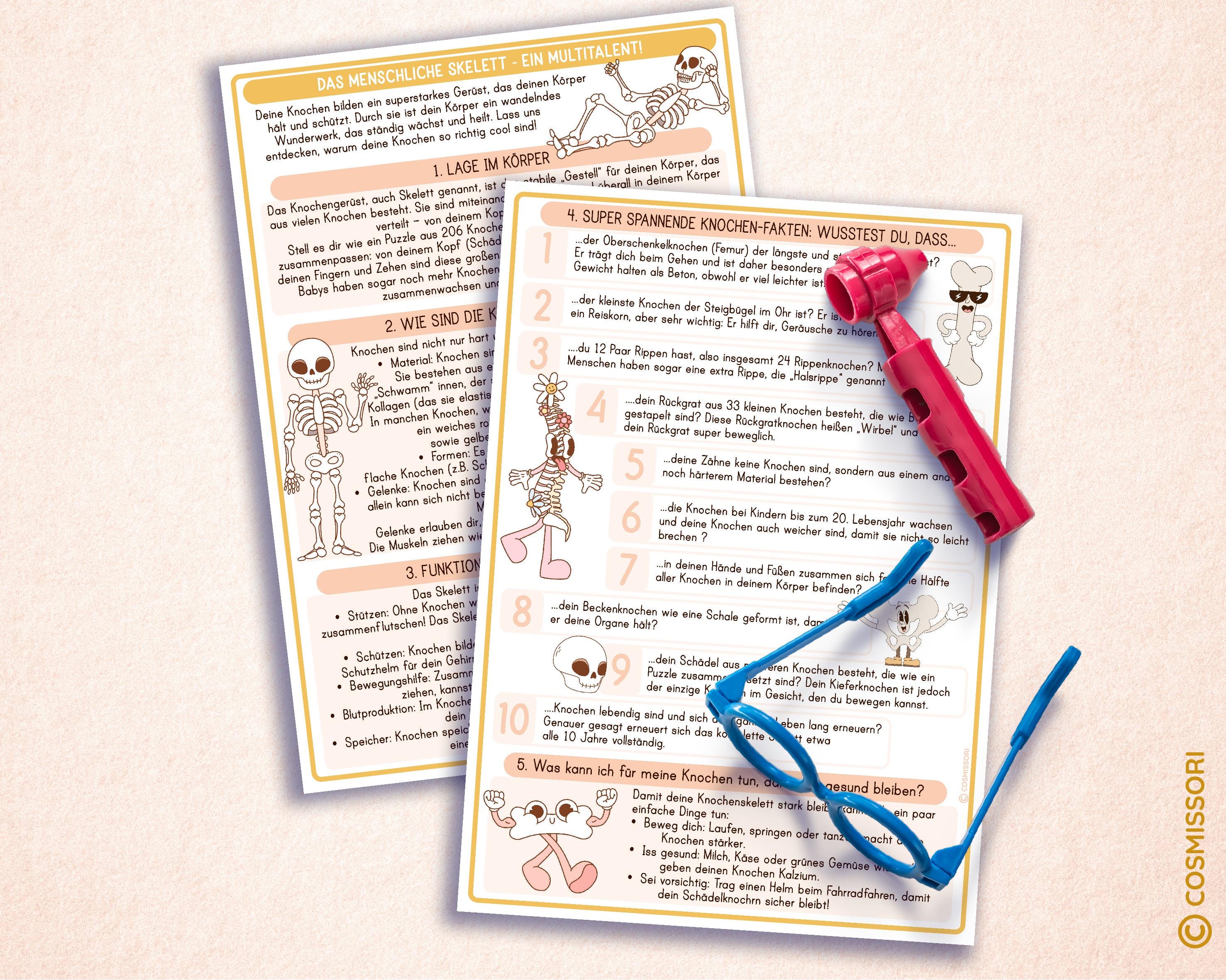 SKELETON BONE Anatomy Montessori Activity Material Pdf Human Skeleton ...