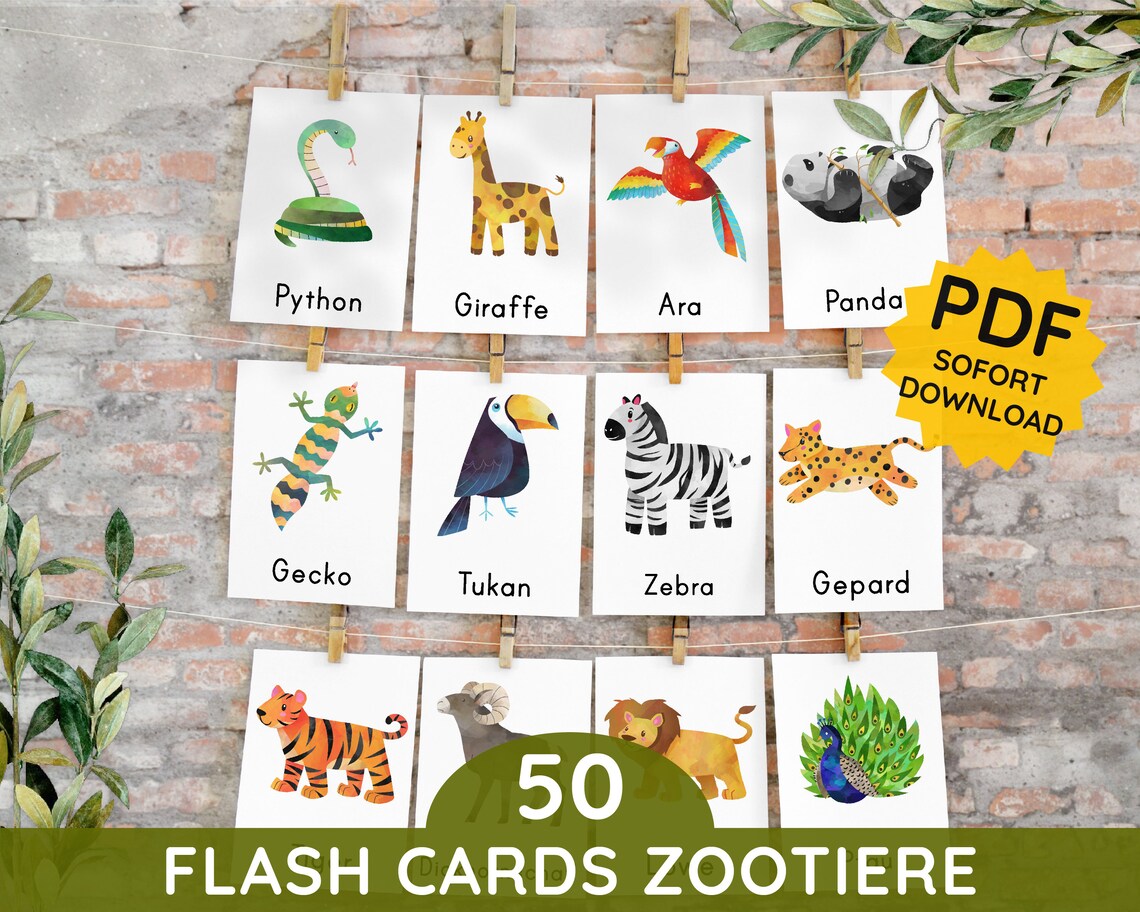 50 Zoo Animals Flash Cards Montessori Watercolor Picture Cards Three ...