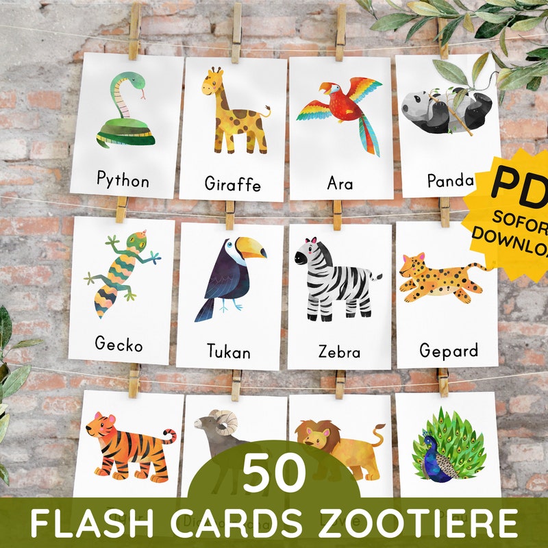 Animal Action Cards - Etsy