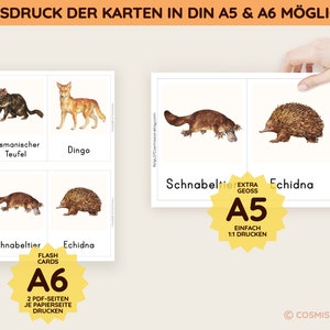 Animals of Australia & Oceania Montessori Picture Cards, Learning Cards ...
