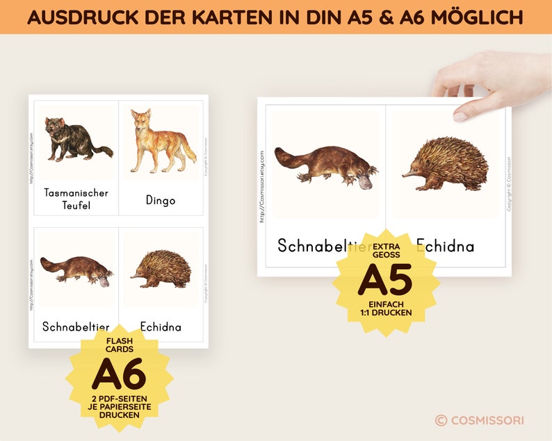 Animals of Australia & Oceania Montessori Picture Cards, Learning Cards ...
