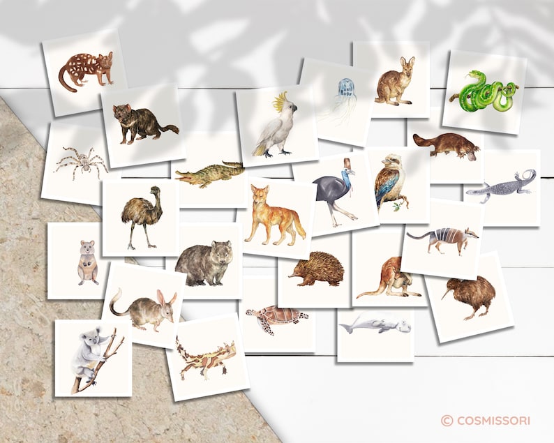 Animals of Australia & Oceania Montessori Picture Cards, Learning Cards ...
