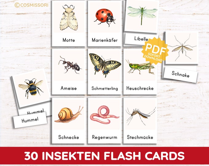 Self-printable Montessori Nomenclature Cards: 12 Insects for Children ...
