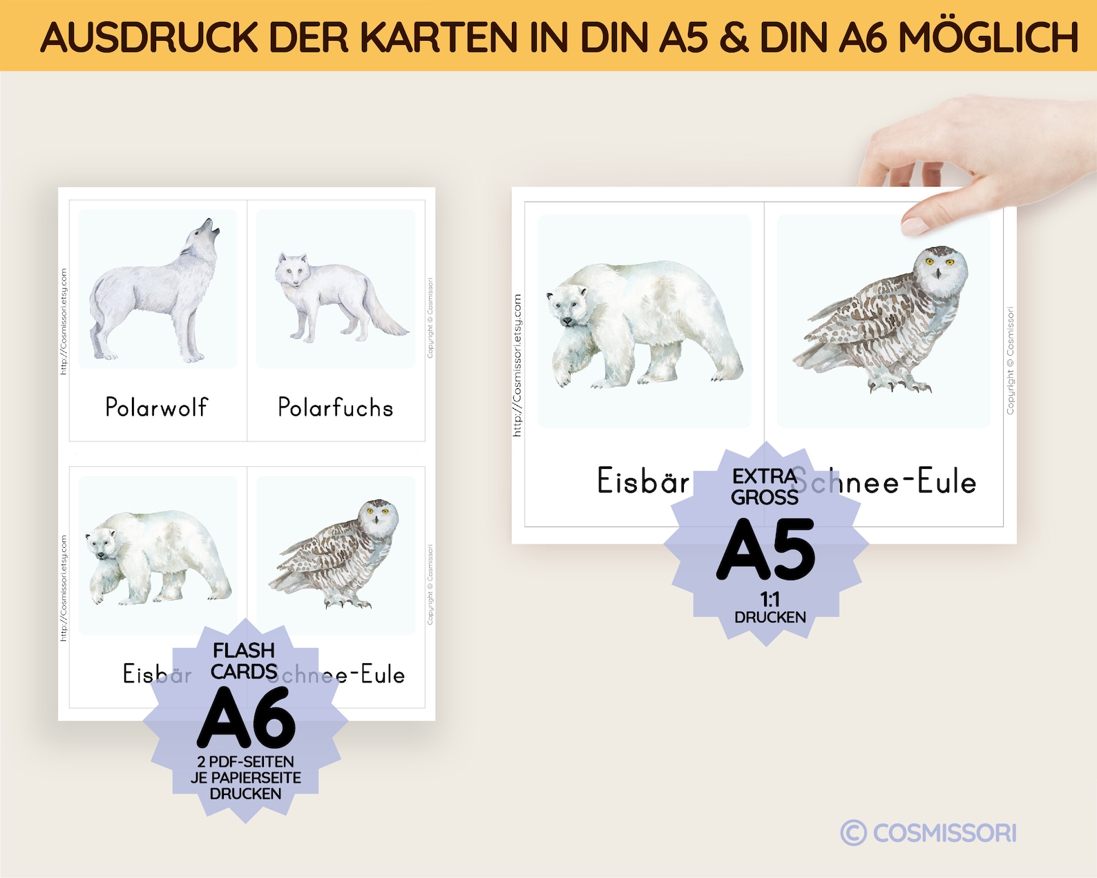 Animals of the Polar Regions ARCTIC ANTARCTIC Montessori Flash Cards ...