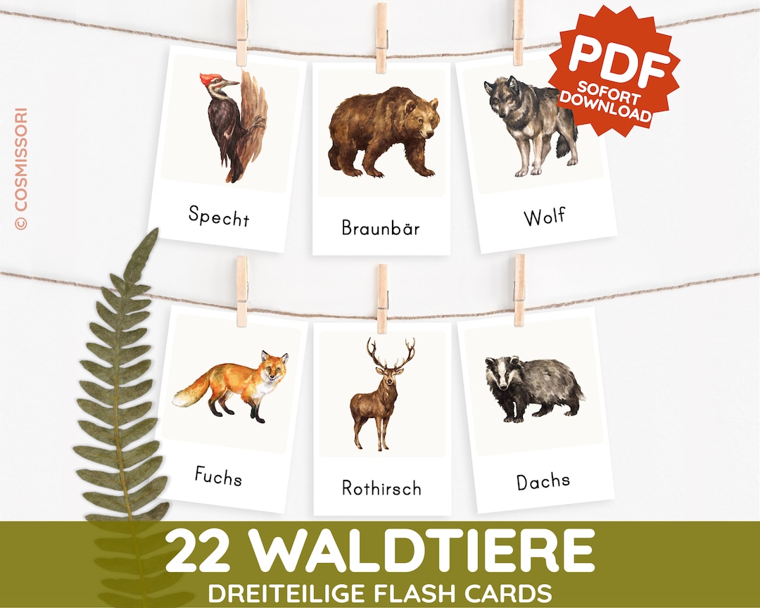 WALDTIERE Montessori Aquarell Bildkarten Lernkarten Karten PDF Vorlage ...