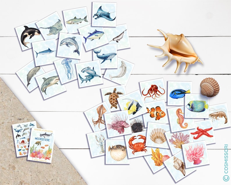 36 Sea Animals Montessori Picture Cards Learning Cards Ocean Animals ...