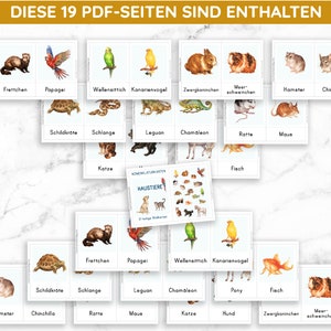PETS Montessori Picture Cards Watercolor Learning Cards Small Animal ...