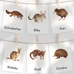 Animals of Australia & Oceania Montessori Picture Cards, Learning Cards ...