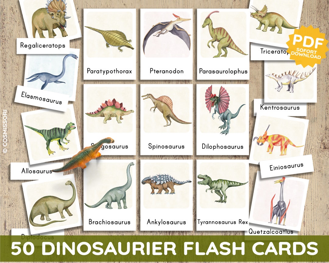 50 Dinosaurs A-Z Montessori Picture Cards Learning Cards Flash Cards ...