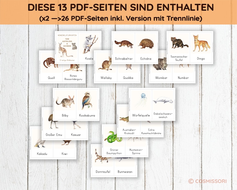 Animals of Australia & Oceania Montessori Picture Cards, Learning Cards ...
