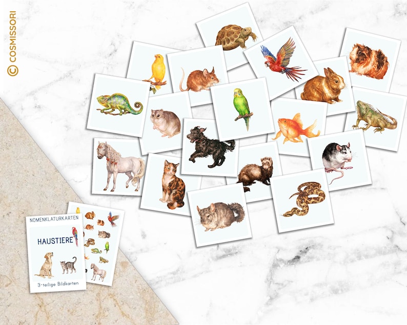PETS Montessori Picture Cards Watercolor Learning Cards Small Animal ...