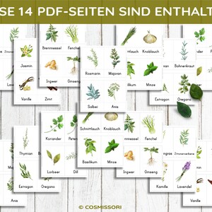 Küchenkräuter & Heilkräuter Montessori Blitzkarten Bildkarten PDF ...