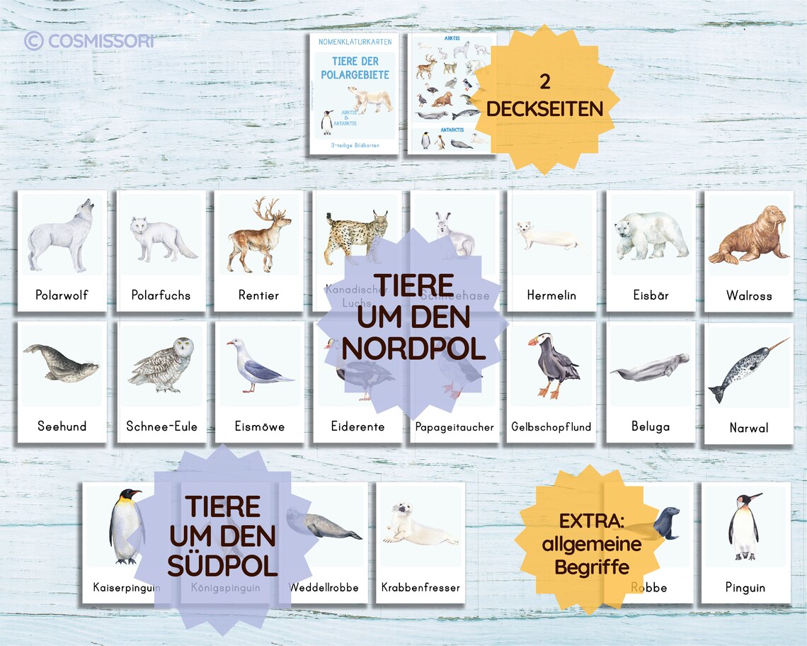 Animals of the Polar Regions ARCTIC ANTARCTIC Montessori Flash Cards ...